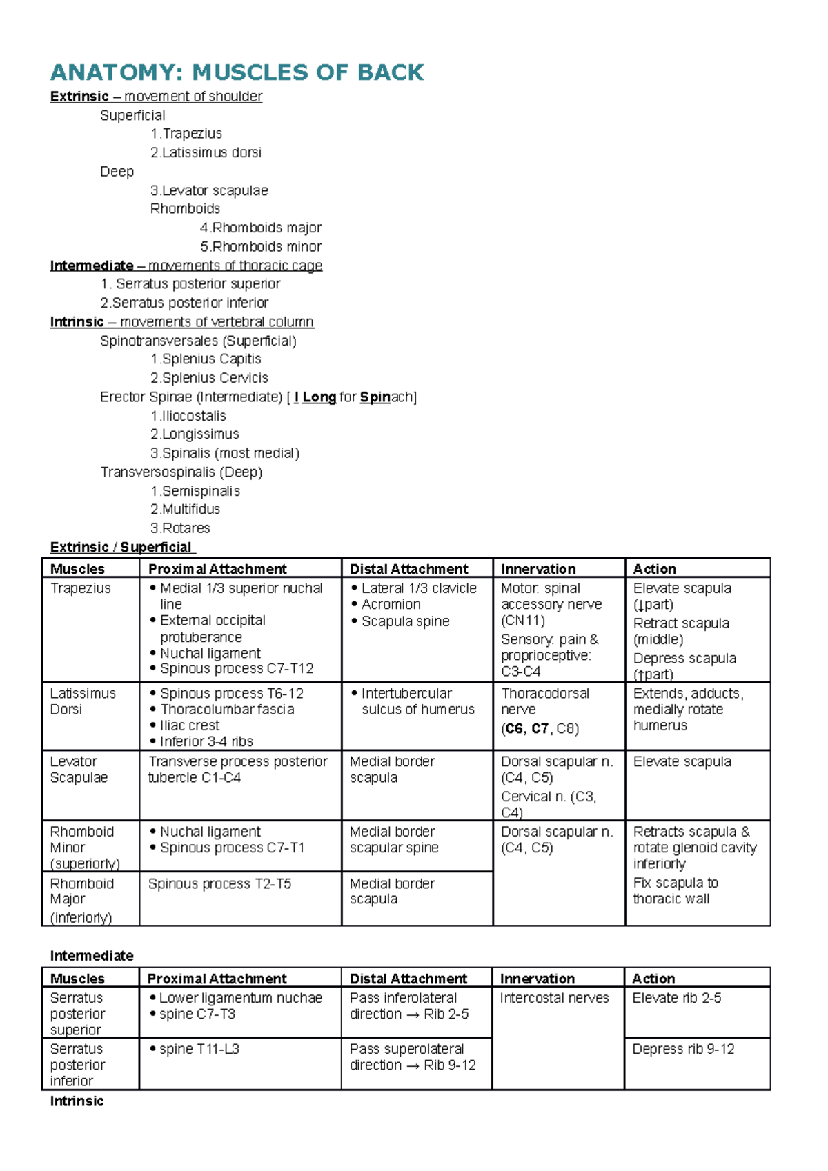 Muscles of the BACK - Summary Clinically Oriented Anatomy - ANATOMY ...