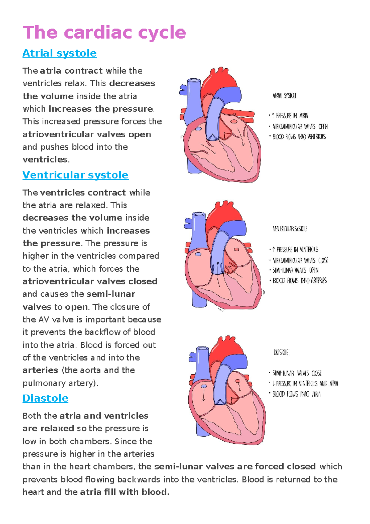 The cardiac cycle - hope this helps - The cardiac cycle Atrial systole ...