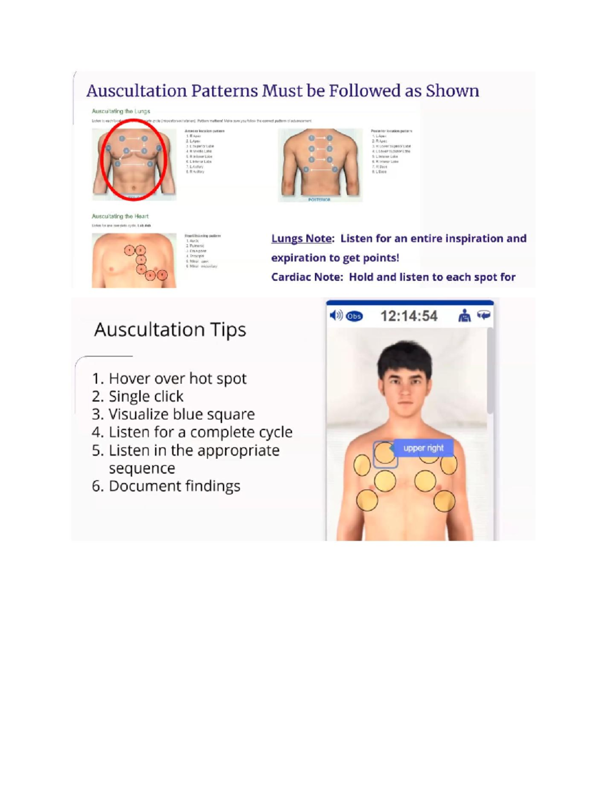 Ihuman notes - e ####### Auscultation Patterns Must be Followed as ...