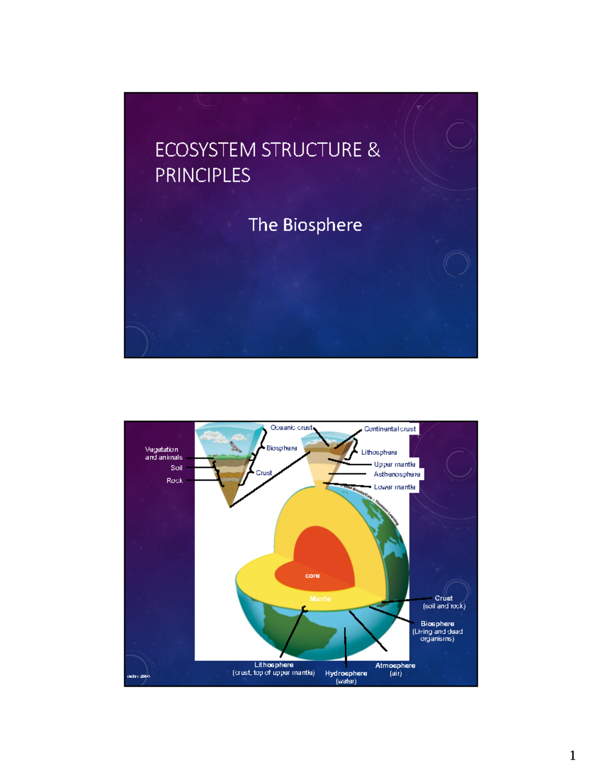 2A-Ecology - Notes - ECOSYSTEM STRUCTURE & PRINCIPLES The Biosphere ...