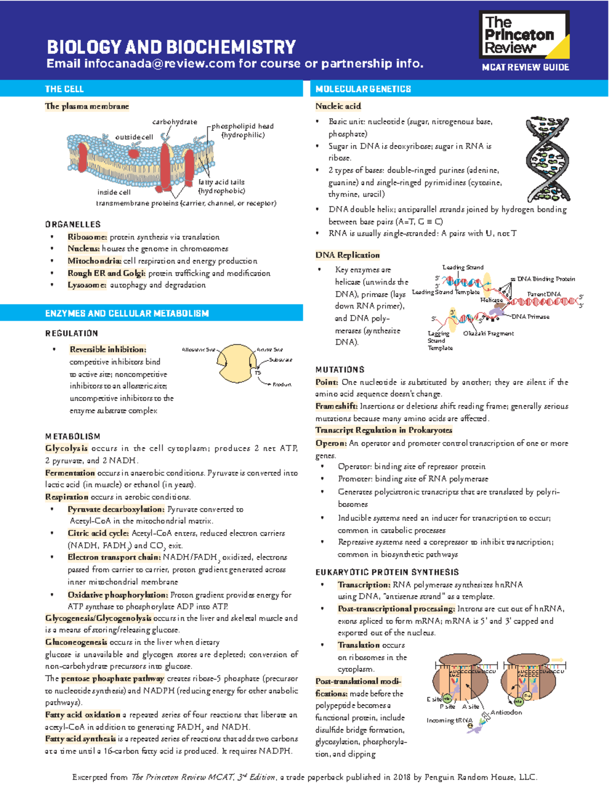 MCAT Study Sheets - Summary Cellular and molecular biology - THE CELL ...