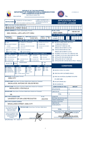 DAO 2003 30 IRR of the Philippine Environmental Impact Statement EIS ...
