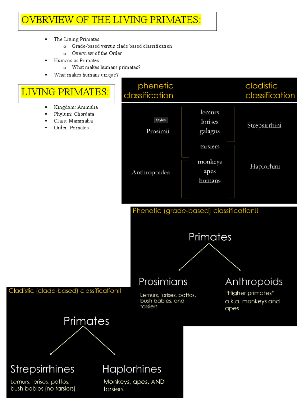 The Living Primates - specialized for vertical clinging & leaping: o ...