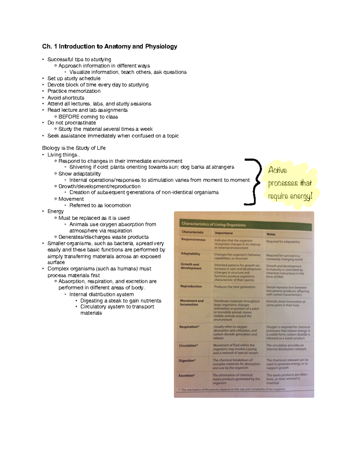 Ch. 1 Intro to A&P - Ch. 1 Introduction to Anatomy and Physiology ...