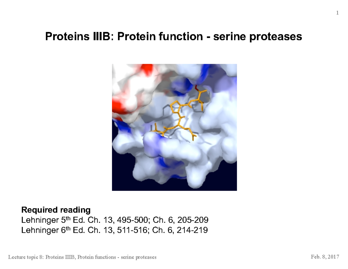Lecture 8 proteins III-b ser proteases (PDF) - Proteins IIIB: Protein function - serine ...