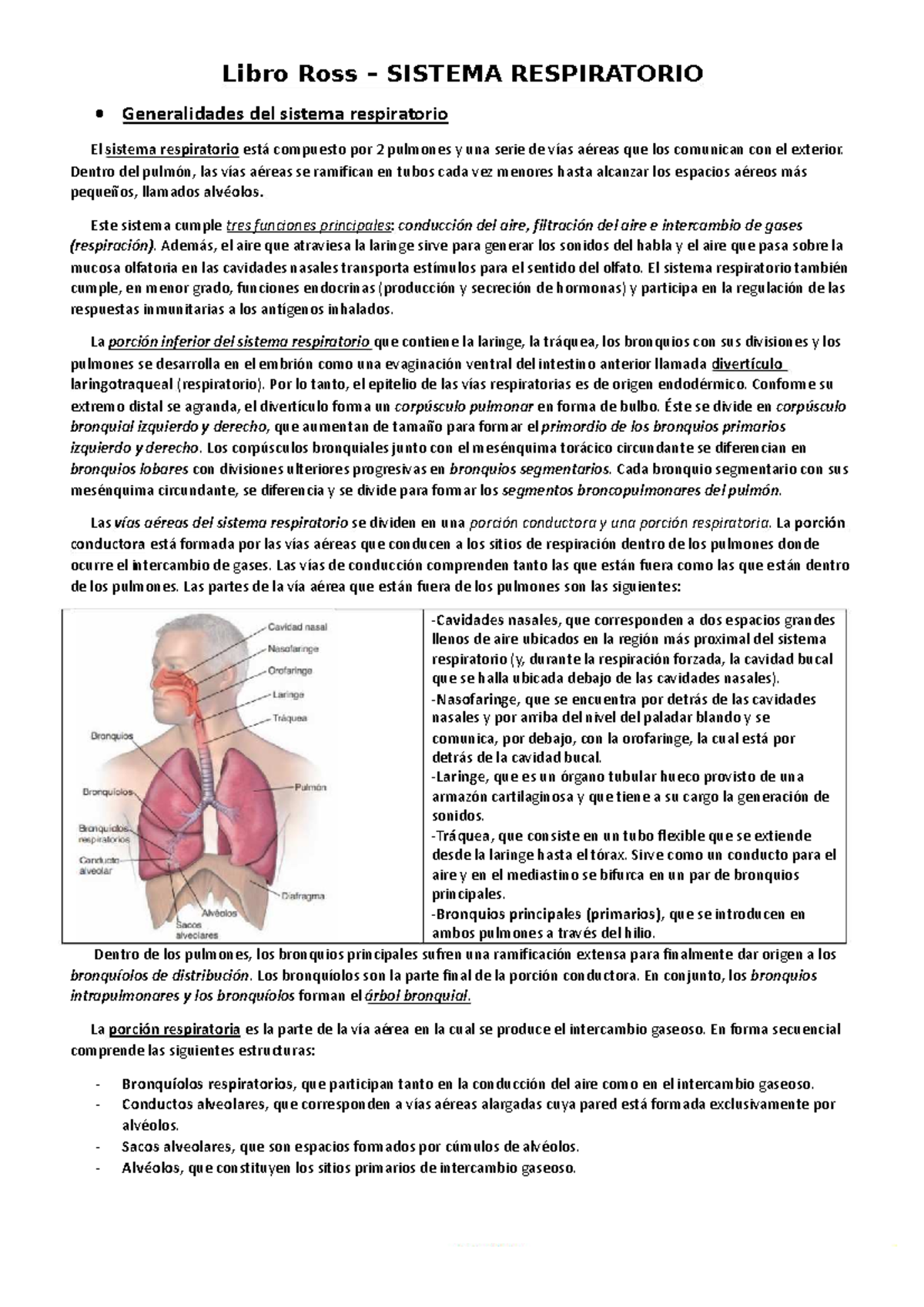 Resumen-del-libro-ross-para-histologia-respitatorio-arti-3 compress ...