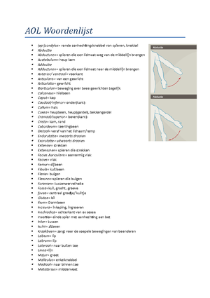 Anatomie samenvatting copy - Anatomie Terminologie Anatomische houding ...