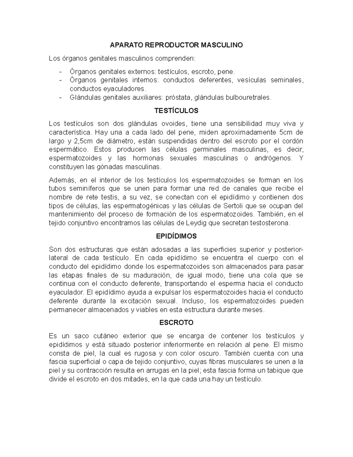 Guia-Resumen-Histo Aparato Reproductor Masculino - APARATO REPRODUCTOR MASCULINO Los órganos ...