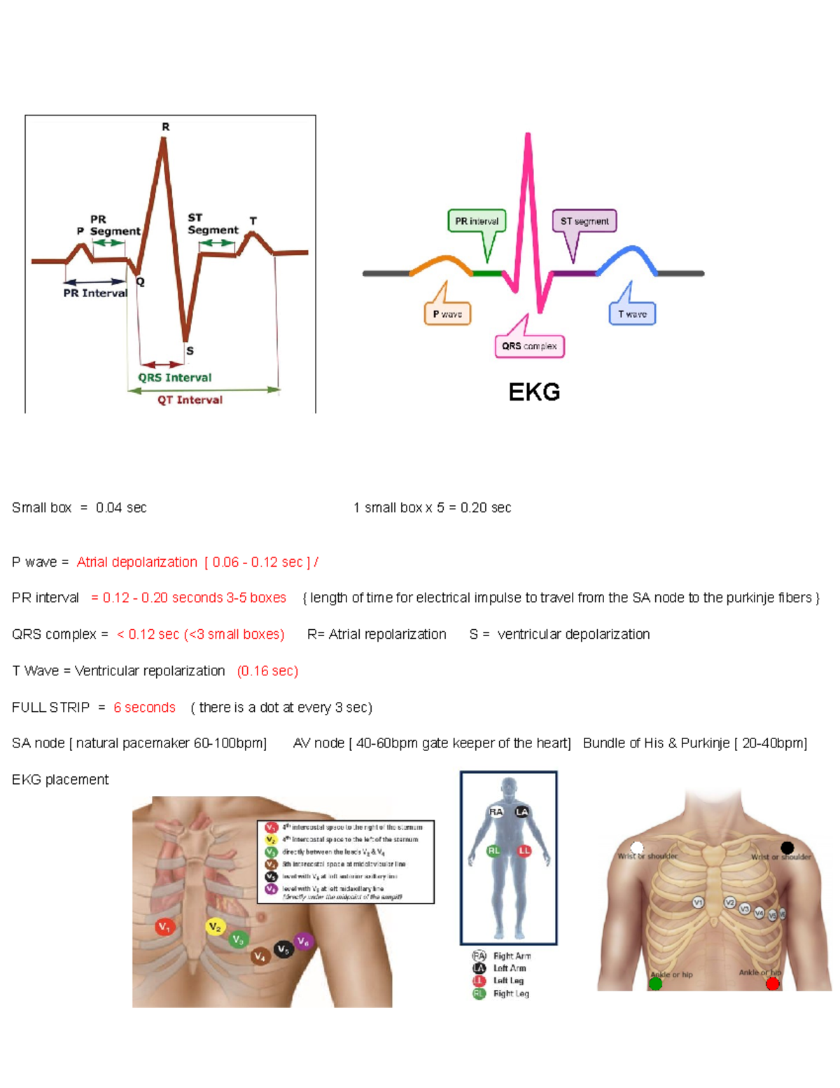 Cardiac - Google Docs - EKG Small box = 0 sec 1 small box x 5 = 0 sec P ...