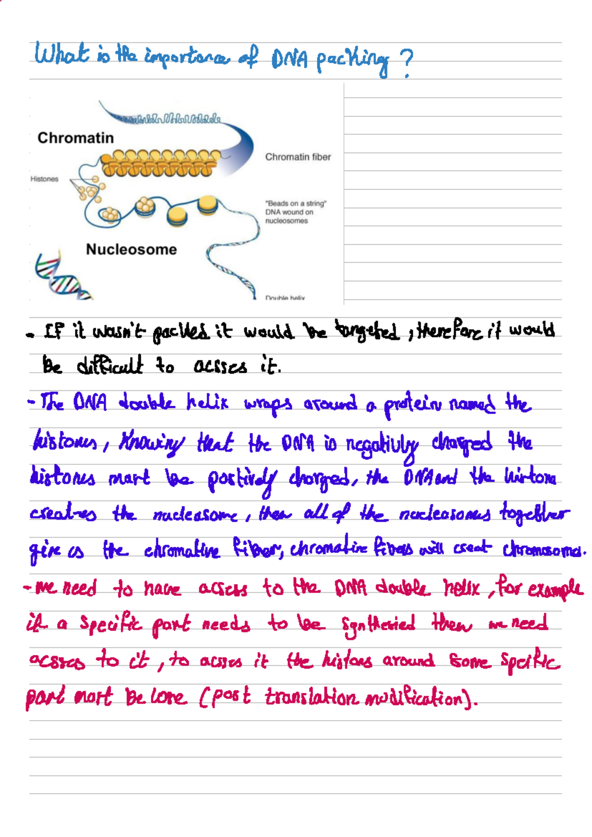 Lecture 2 notes - Medical biology - Studocu