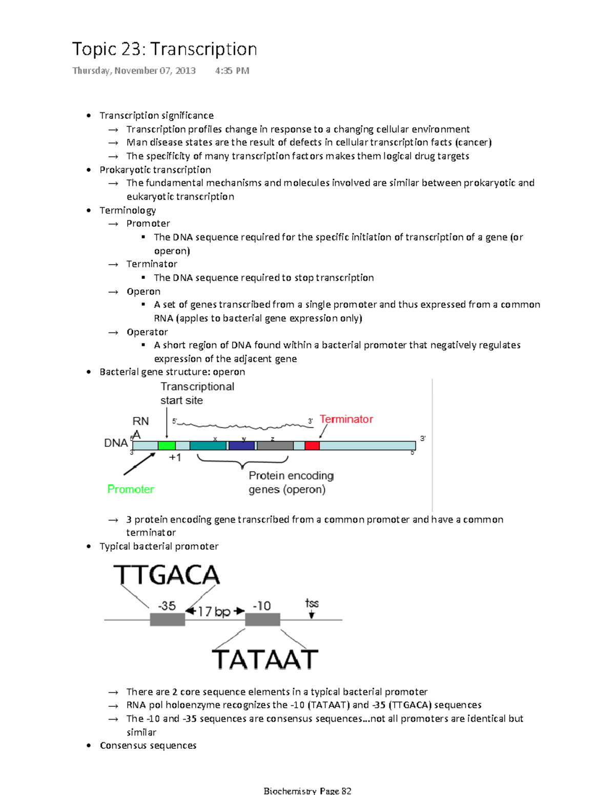 Biochem 2280 - Topic 23 Notes - → Transcription profiles change in ...