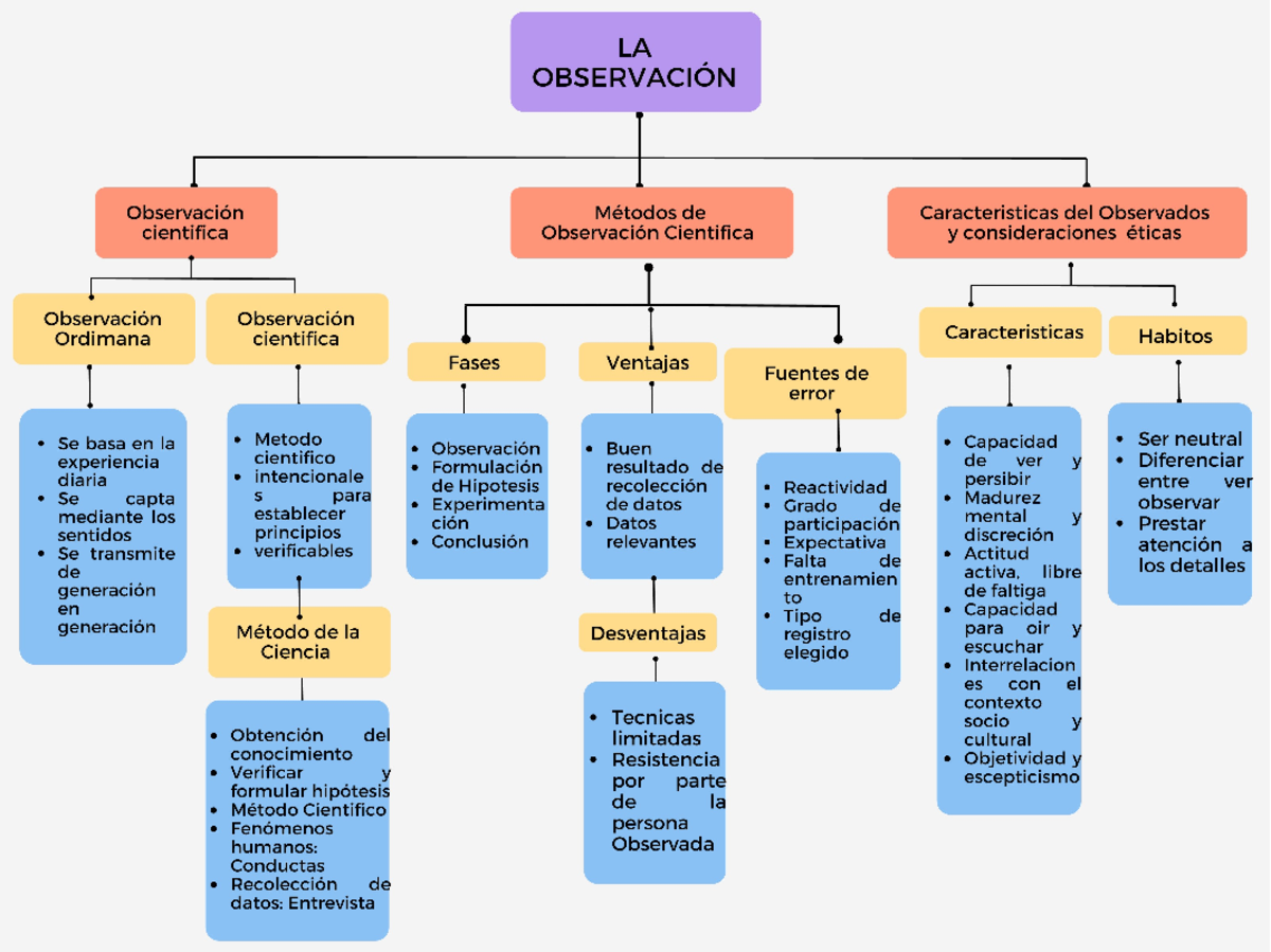 Gráfico de Mapa Conceptual Mental con concepto principal e ideas secundarias moderno y ordenado ...