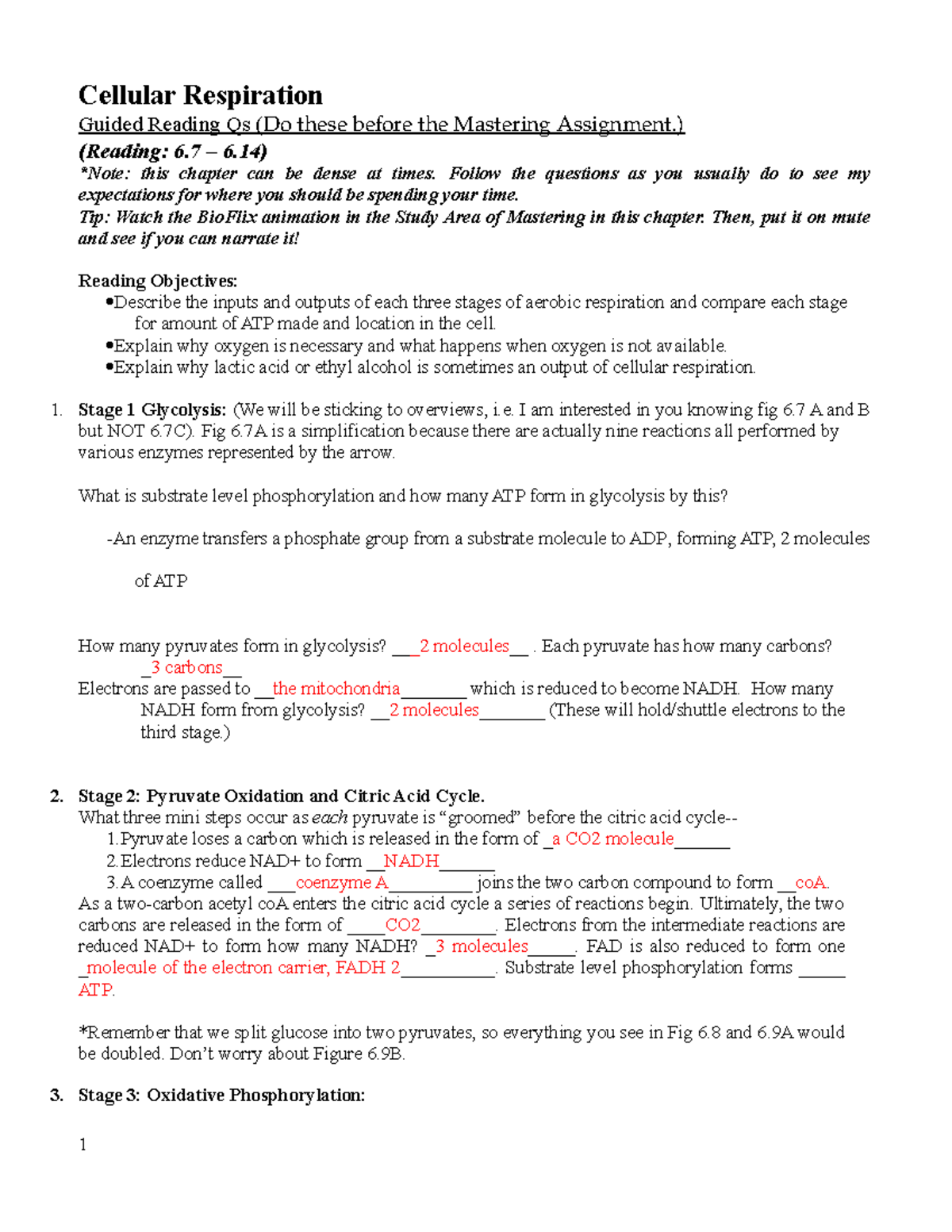 Lesson 7 GRQs Cellular Respiration - Cellular Respiration Guided ...