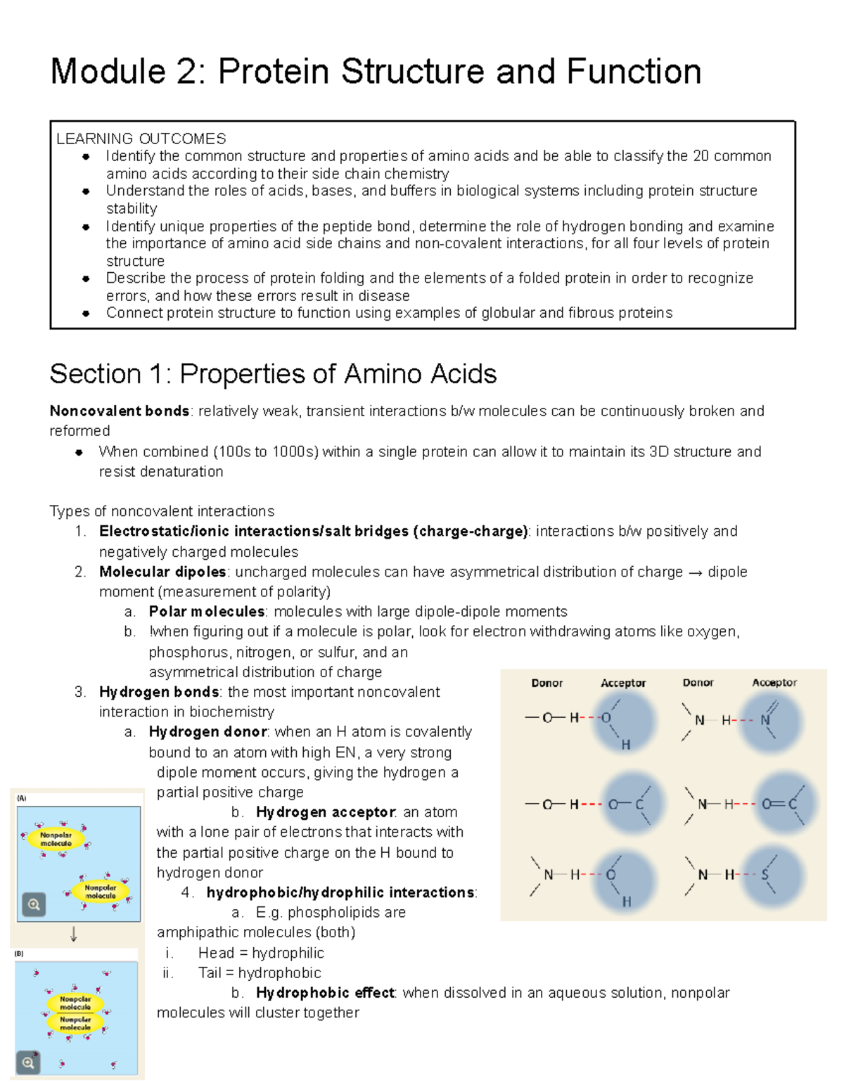 Bchm 270 - module 2 notes - Module 2: Protein Structure and Function ...