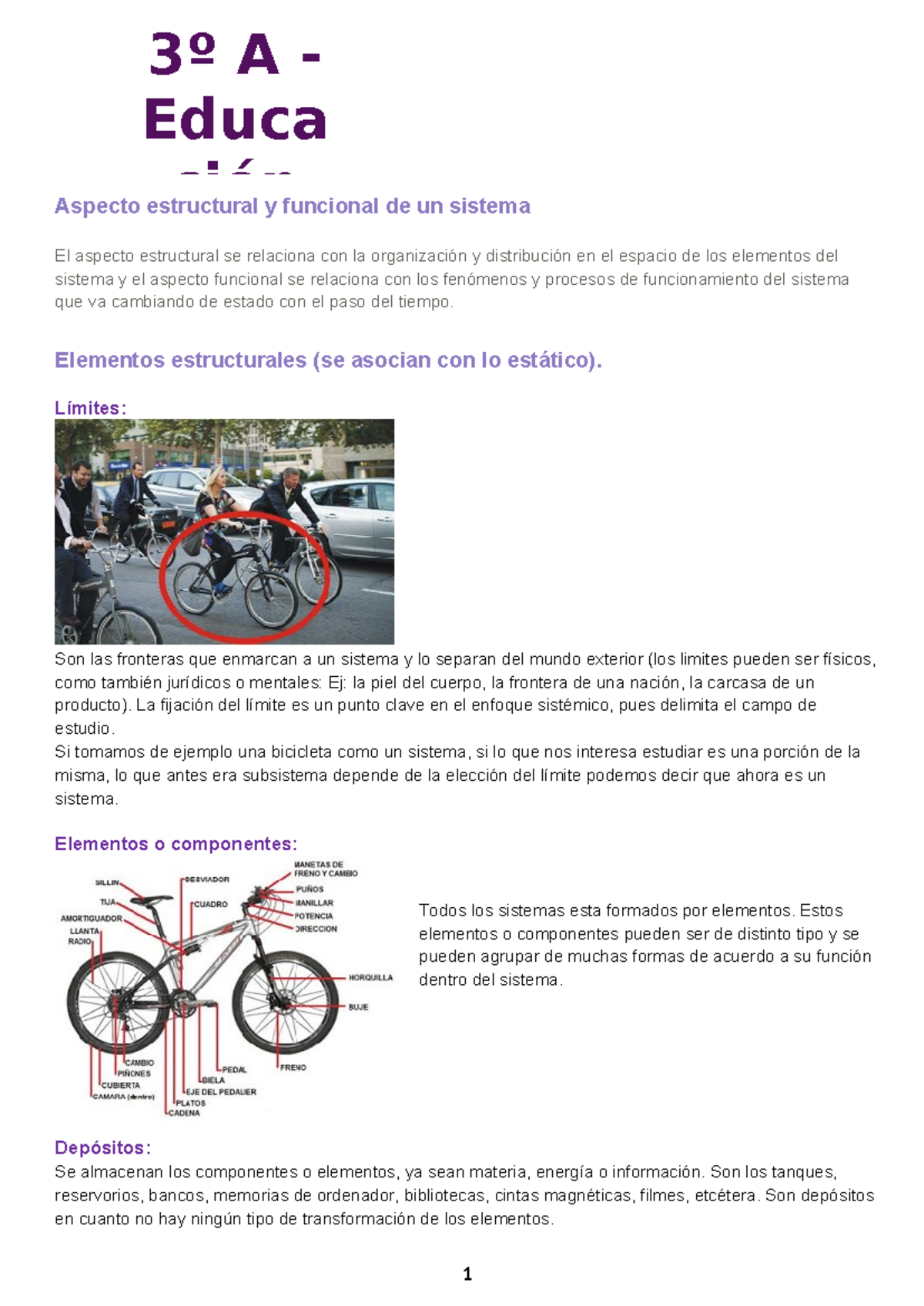3º Aspecto estructural y funcional de un sistema - Elementos estructurales (se asocian con lo ...