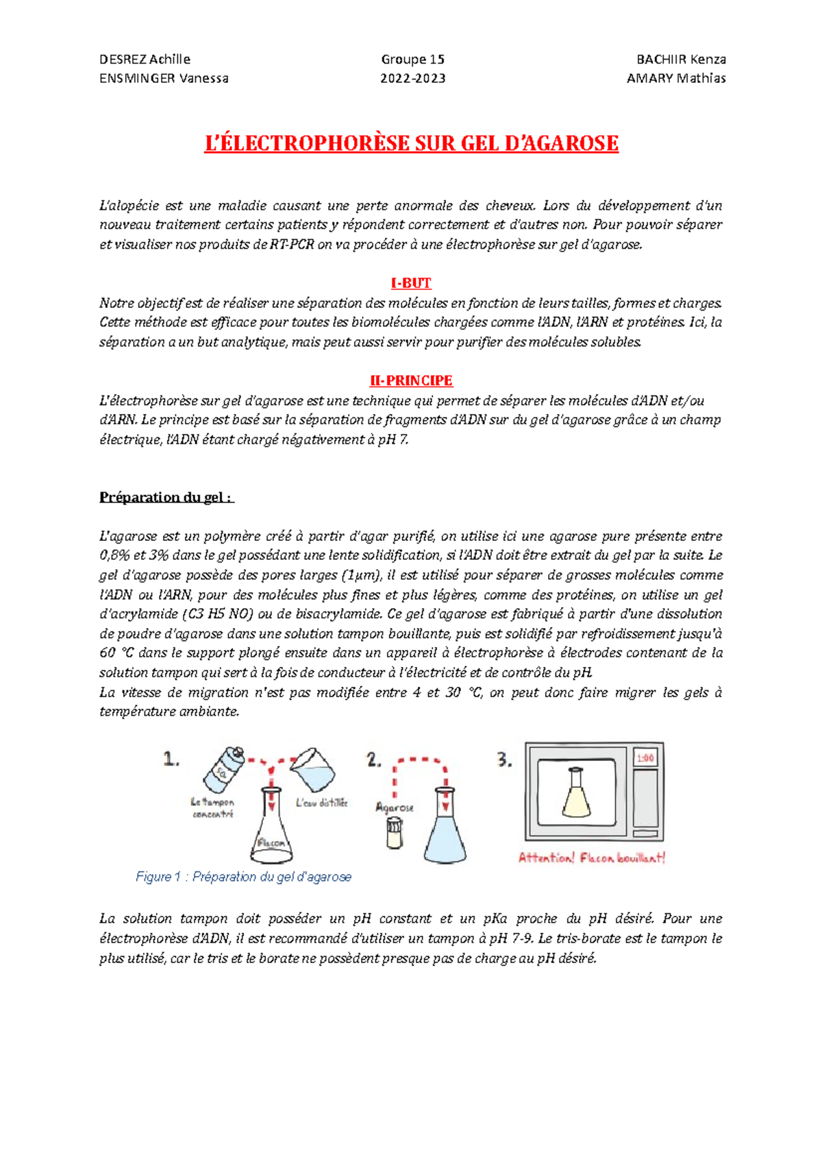 2022 GP15 FTE5 Electrophorèse sur gel d agarose (Récupération ...