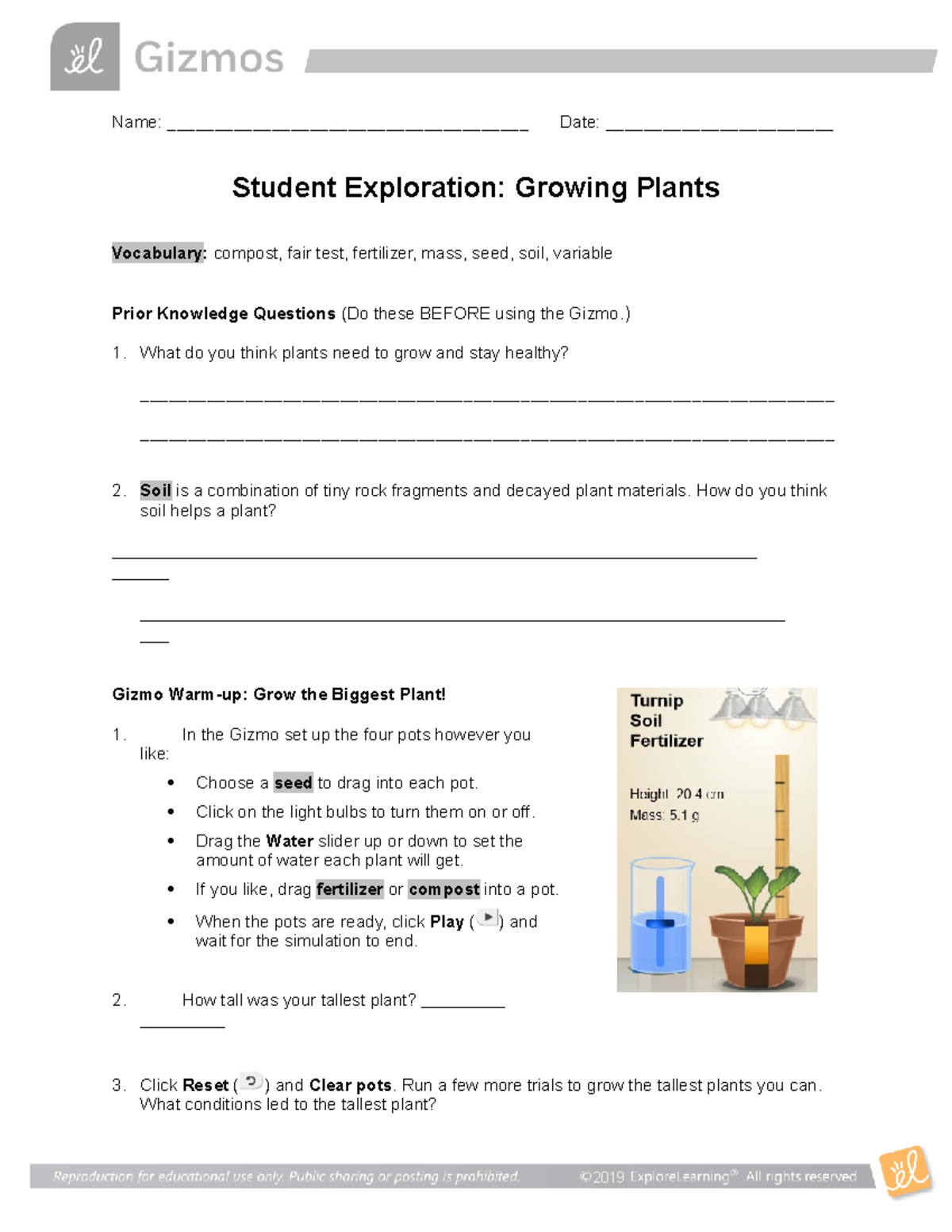 Growing Plants Assignment - Name ...