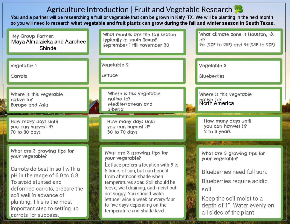 Maya and Aarohee Agriculture Introduction Fruit and Vegetable Research ...