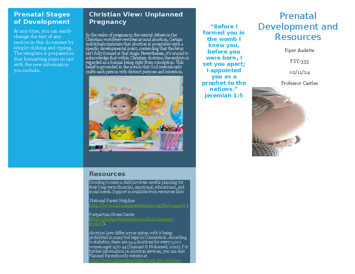 Prenatal Development - wrote an essay - Prenatal Stages of Development ...