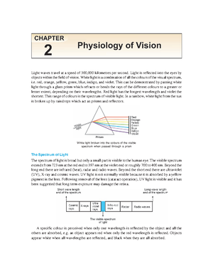 Mulligan MWM - Informative - Brain Mulligan MWMS NAGS SNAGS Brain ...