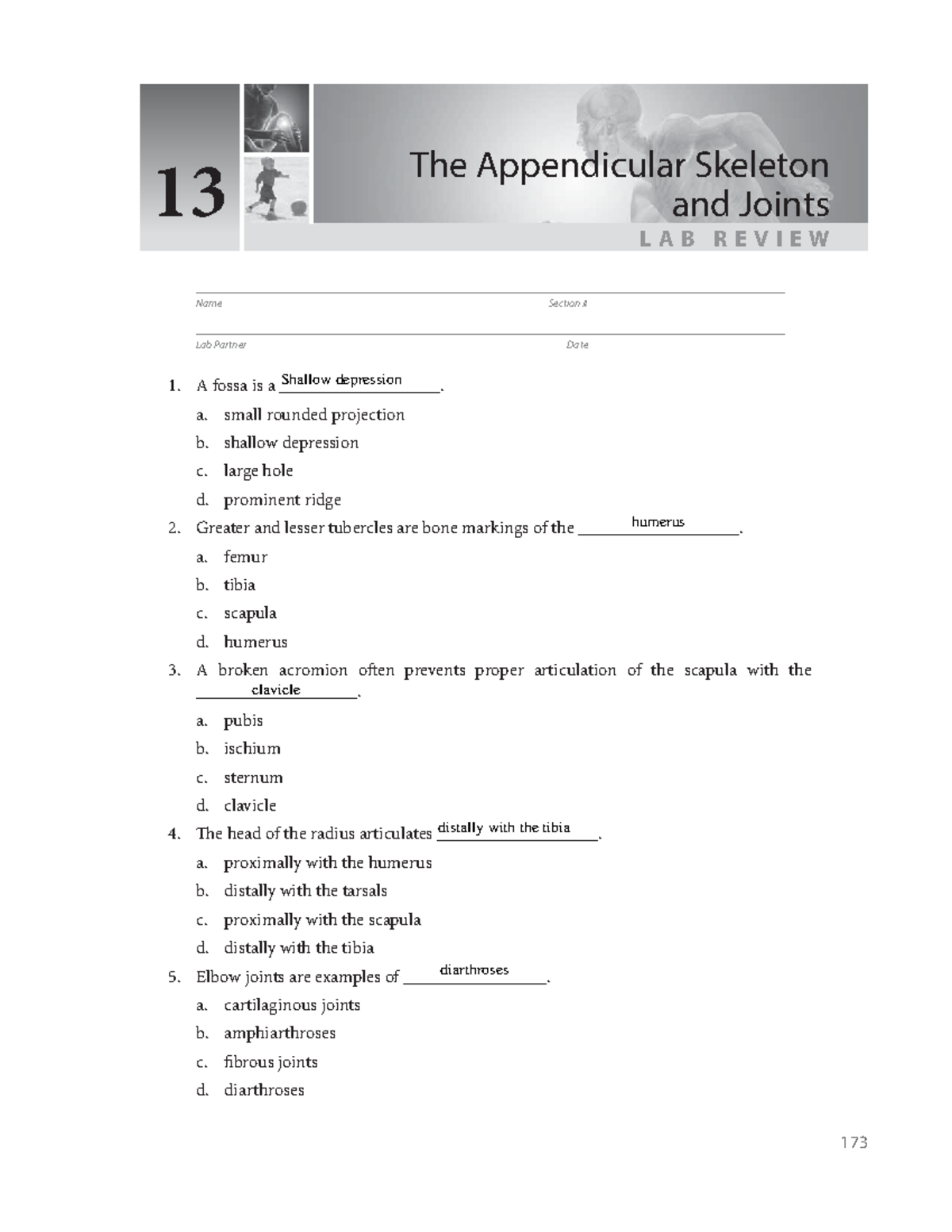 Lab13For A&P1 - These are the answers of this lab. - Name Section # Lab ...