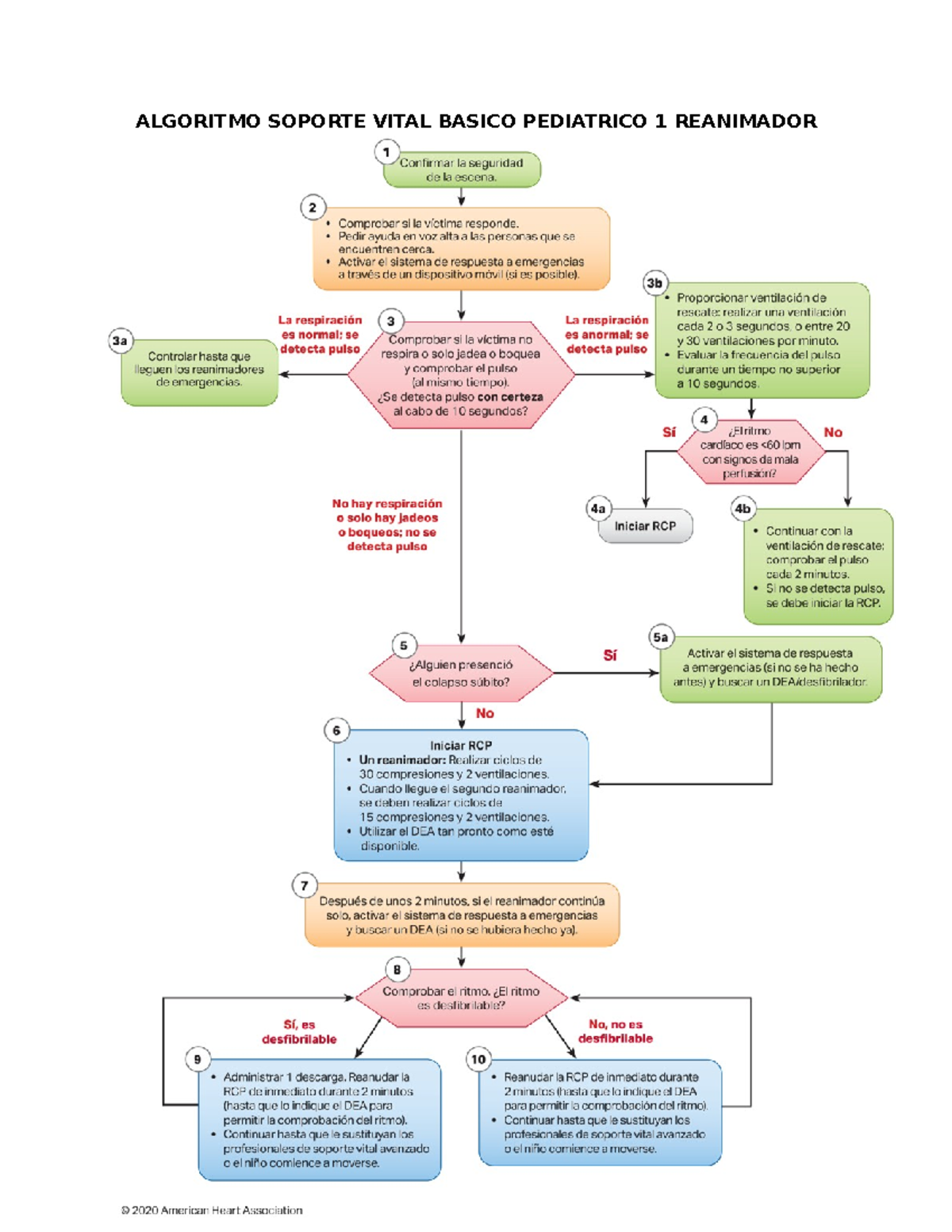 Algoritmo Soporte Vital Basico Pediatrico 1 Reanimador - ALGORITMO ...