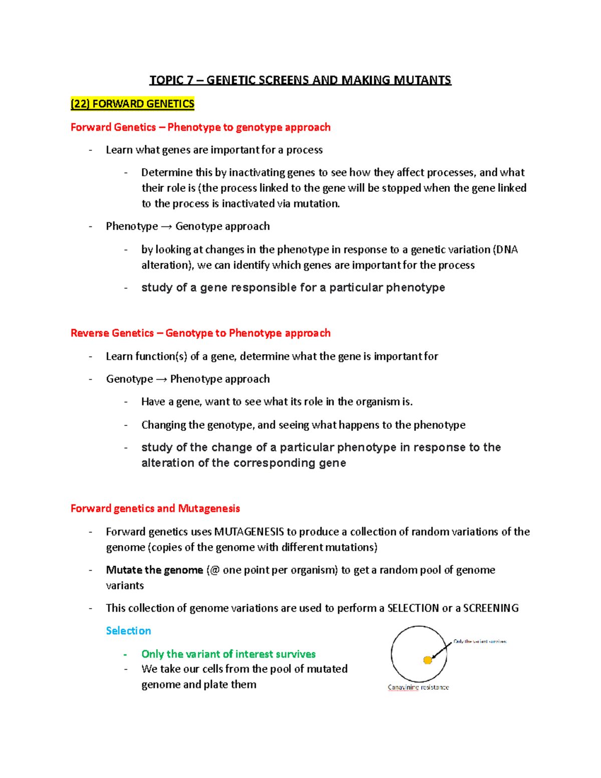 Copy of Week 7 - Genetics - TOPIC 7 – GENETIC SCREENS AND MAKING ...