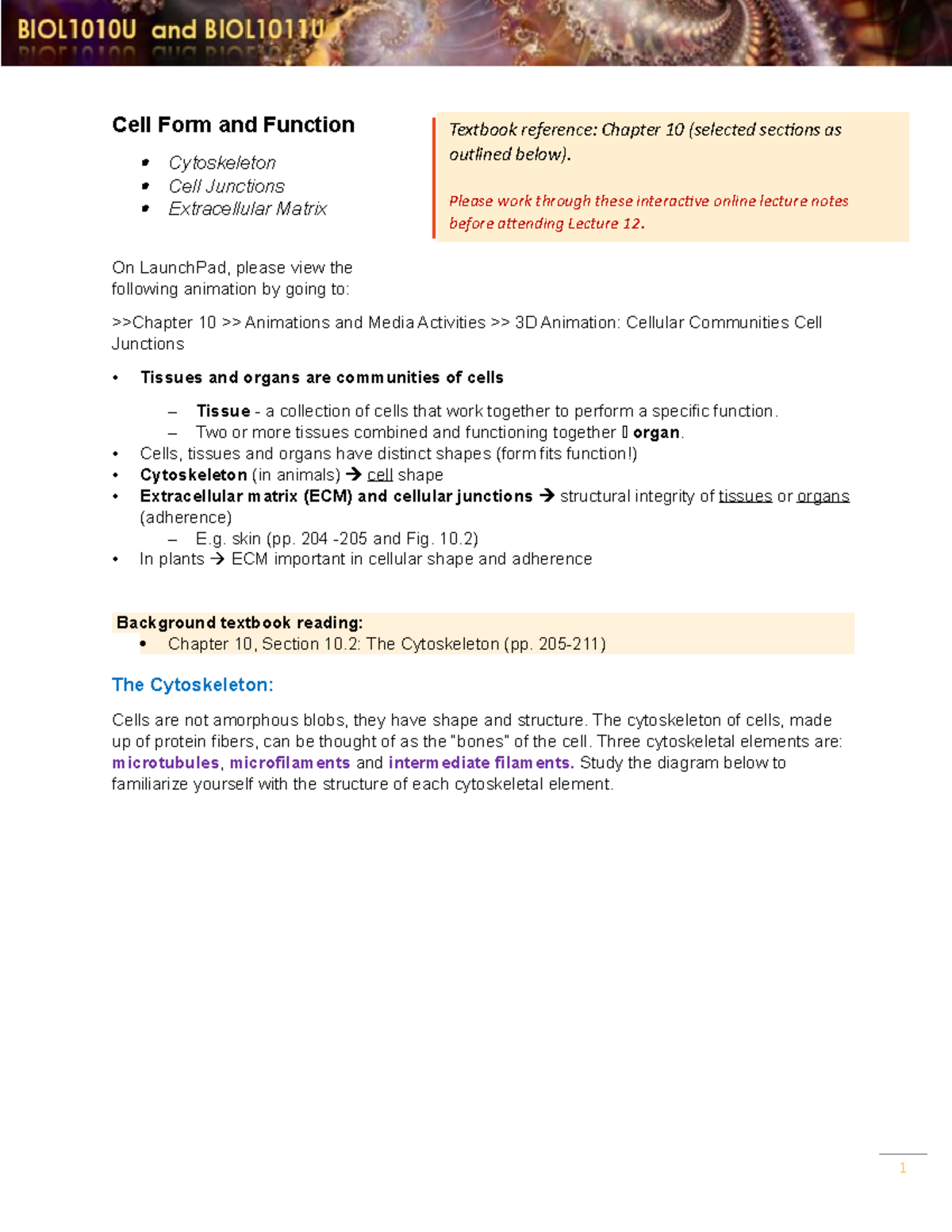 L12 Cell Form Function Interactive notes 2022 - Cell Form and Function ...