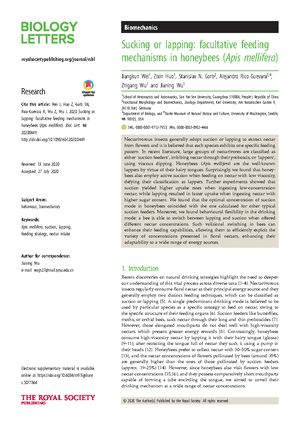 Grade 12 Life Sciences Human Evolution Workbook - GR 12 LIFE SCIENCES ...