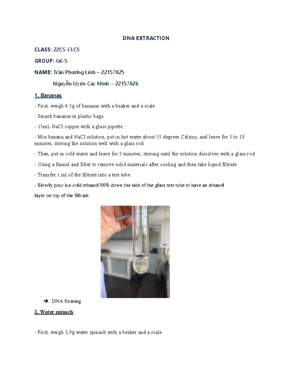 DNA Extraction - aaaaaaaa - DNA EXTRACTION CLASS: 22CS-CLC GROUP: G6- 5 ...