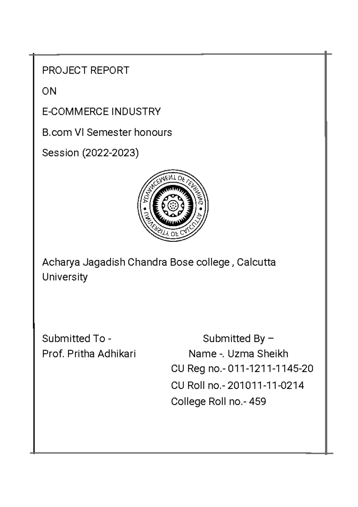 E-commerce industry - PROJECT REPORT ON E-COMMERCE INDUSTRY B Vl ...