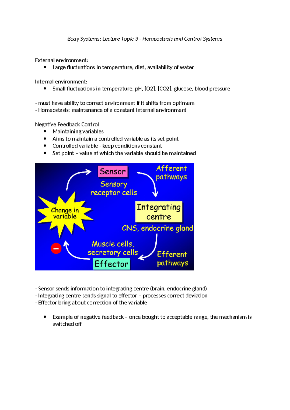 Lecture topic 3 - Body Systems: Lecture Topic 3 - Homeostasis and ...