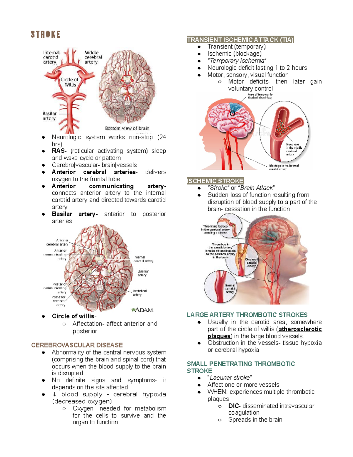 Lecture 8- Cerebrovascular - S T R O K E Neurologic system works non ...