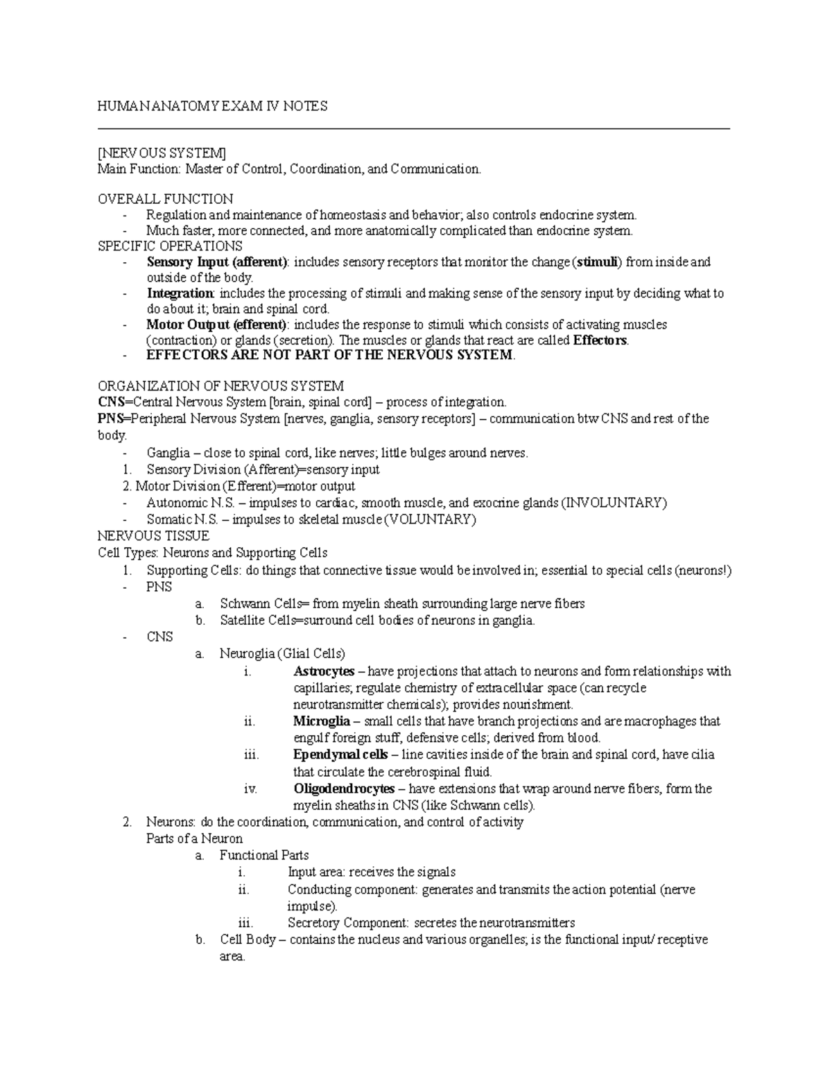 Human Anatomy EXAM IV Notes - HUMAN ANATOMY EXAM IV NOTES - Studocu