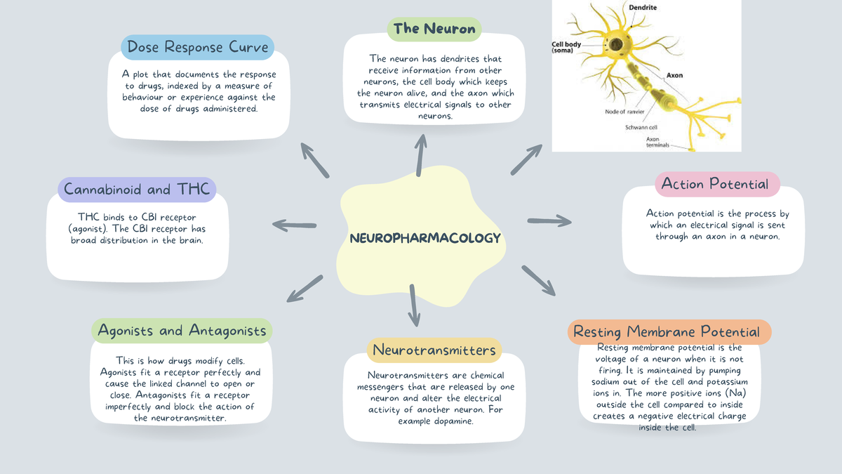 Neuropharmacology - Summary Psychology of Addiction - Dose Response ...