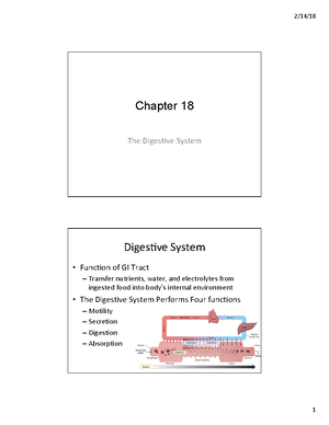 Chapter 10 Lecture - Chapter 10 Sensory System Peripheral$Nervous$System$ - Studocu