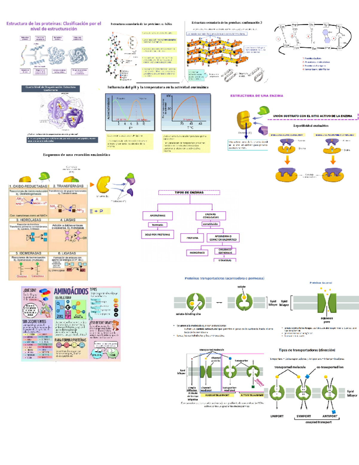 Bioquimica - Bioquímica - Studocu