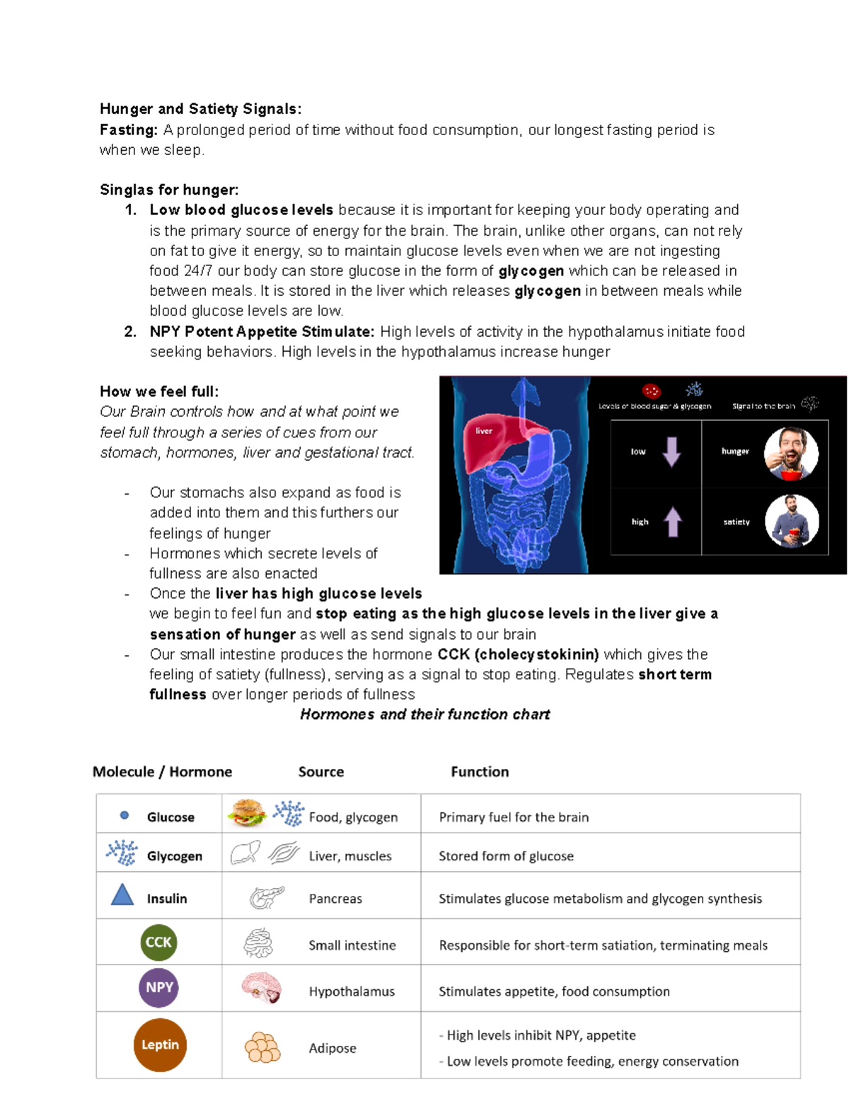 Hunger and Chemical Balance - Hunger and Satiety Signals: Fasting: A ...