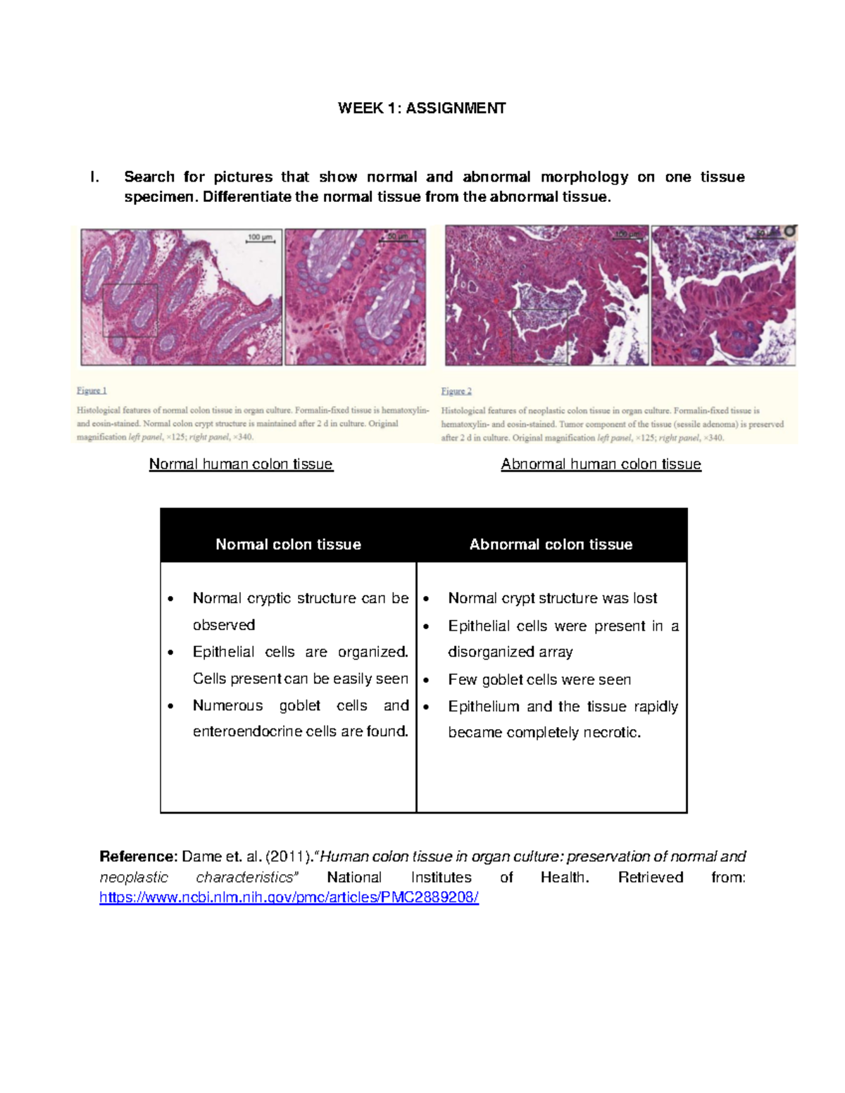 Histopath 1 - WEEK 1: ASSIGNMENT I. Search for pictures that show ...