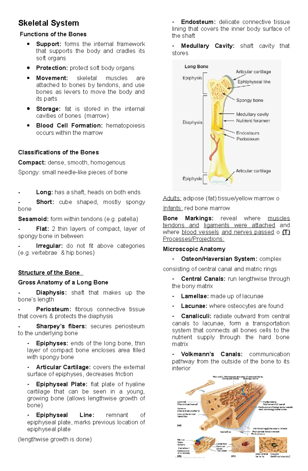 Skeletal- System - From 13th edition book - Skeletal System Functions ...