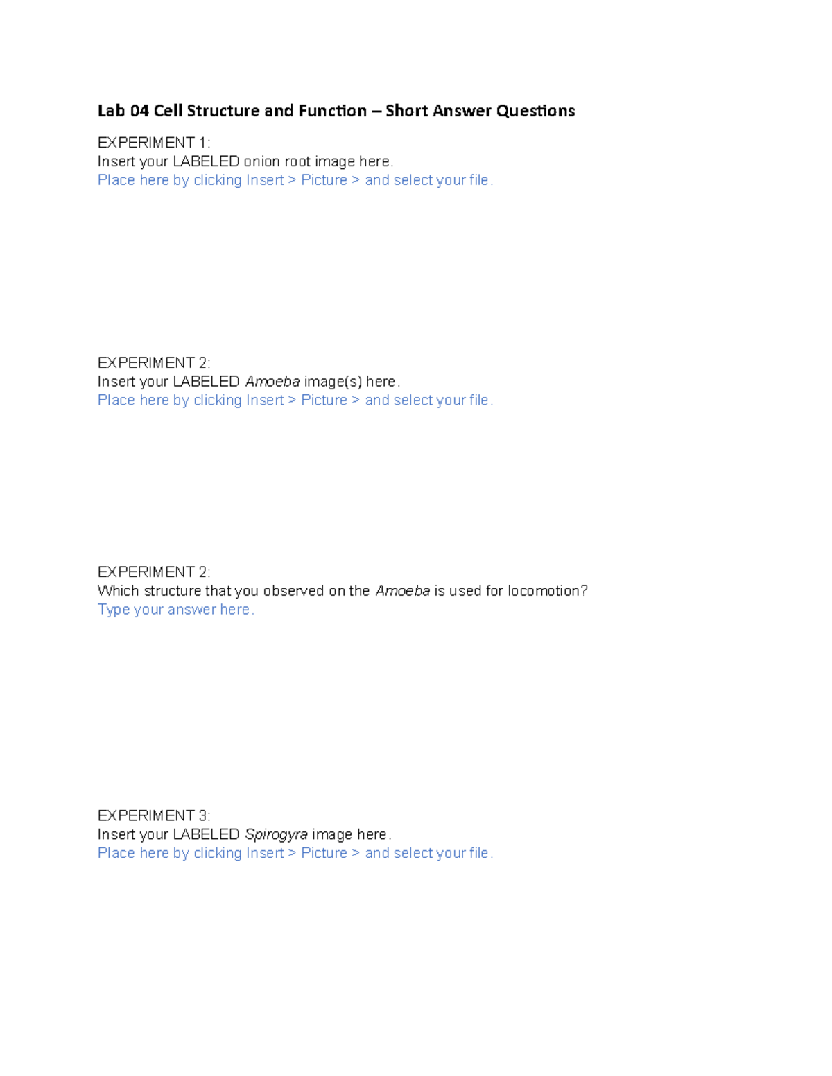 Lab 04 Cell Structure and Function Short Answers - Lab 04 Cell ...