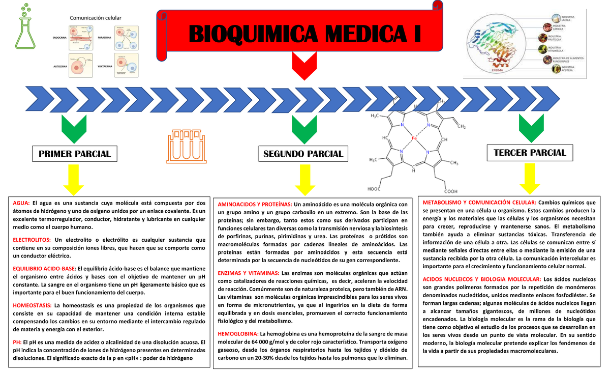 Cartel DE Bioquimica Medica I - BIOQUIMICA MEDICA I PRIMER PARCIAL SEGUNDO PARCIAL TERCER ...