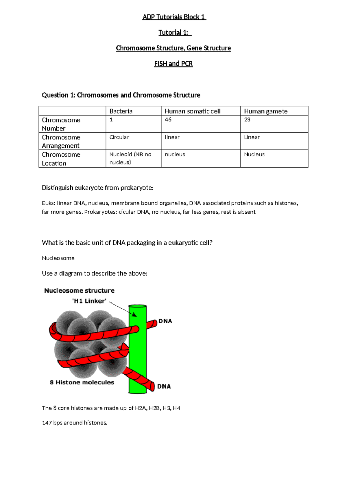 Revision tut 1 block 1 - Good - ADP Tutorials Block 1 Tutorial 1 ...