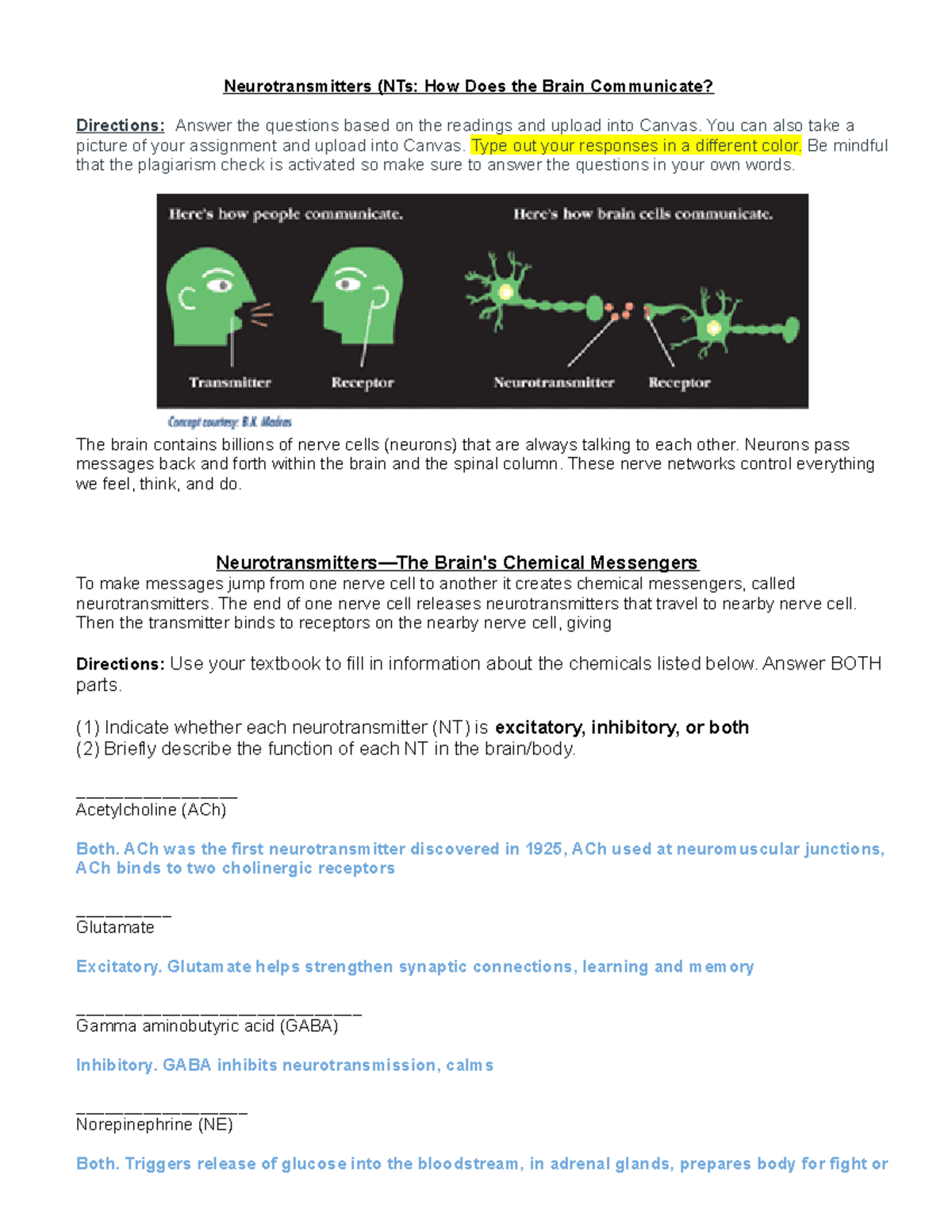 BIO HW 4 - Prof. Nordiquist - Neurotransmitters (NTs: How Does the ...