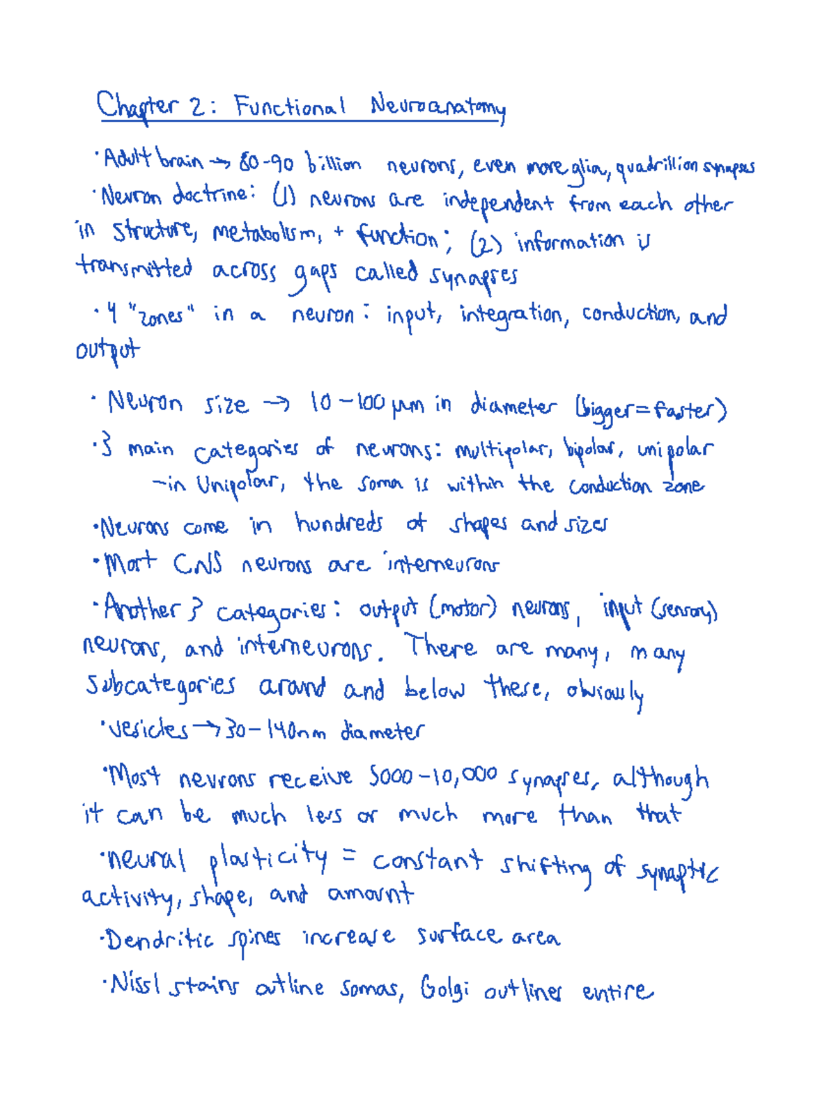 PSYC 321 Chapter 2 Book Notes - Chapter 2 Functional Neuroanatomy ...