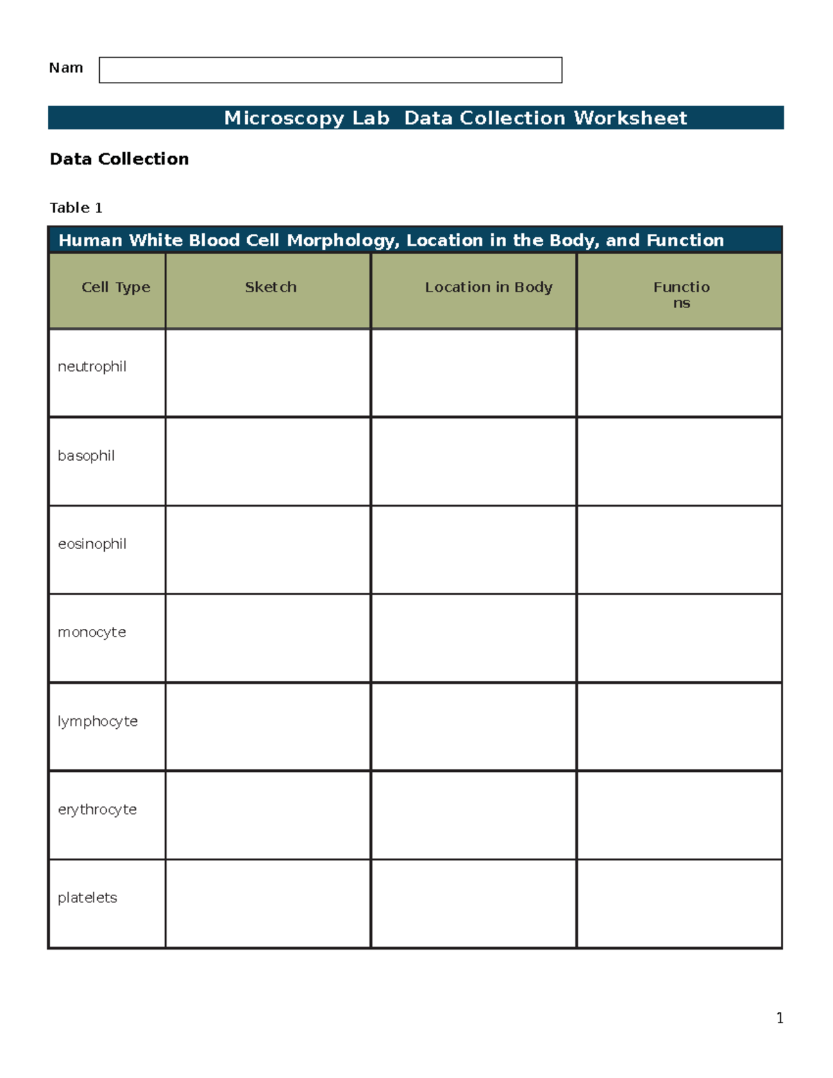 Bio205-02 - Worksheet - Microscopy Lab Data Collection Worksheet Data ...