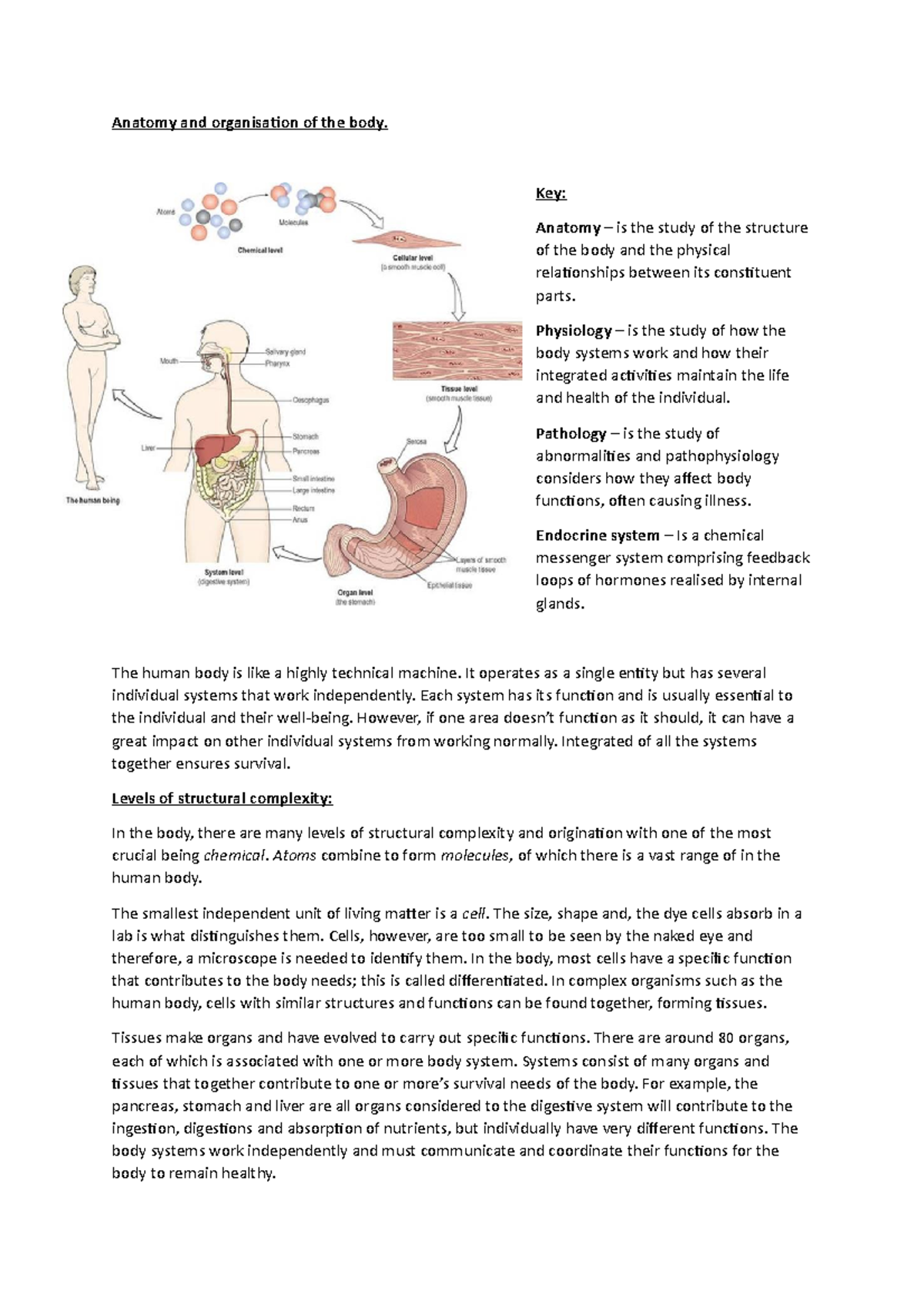 Anatomy and organisation of the body - Key: Anatomy – is the study of ...