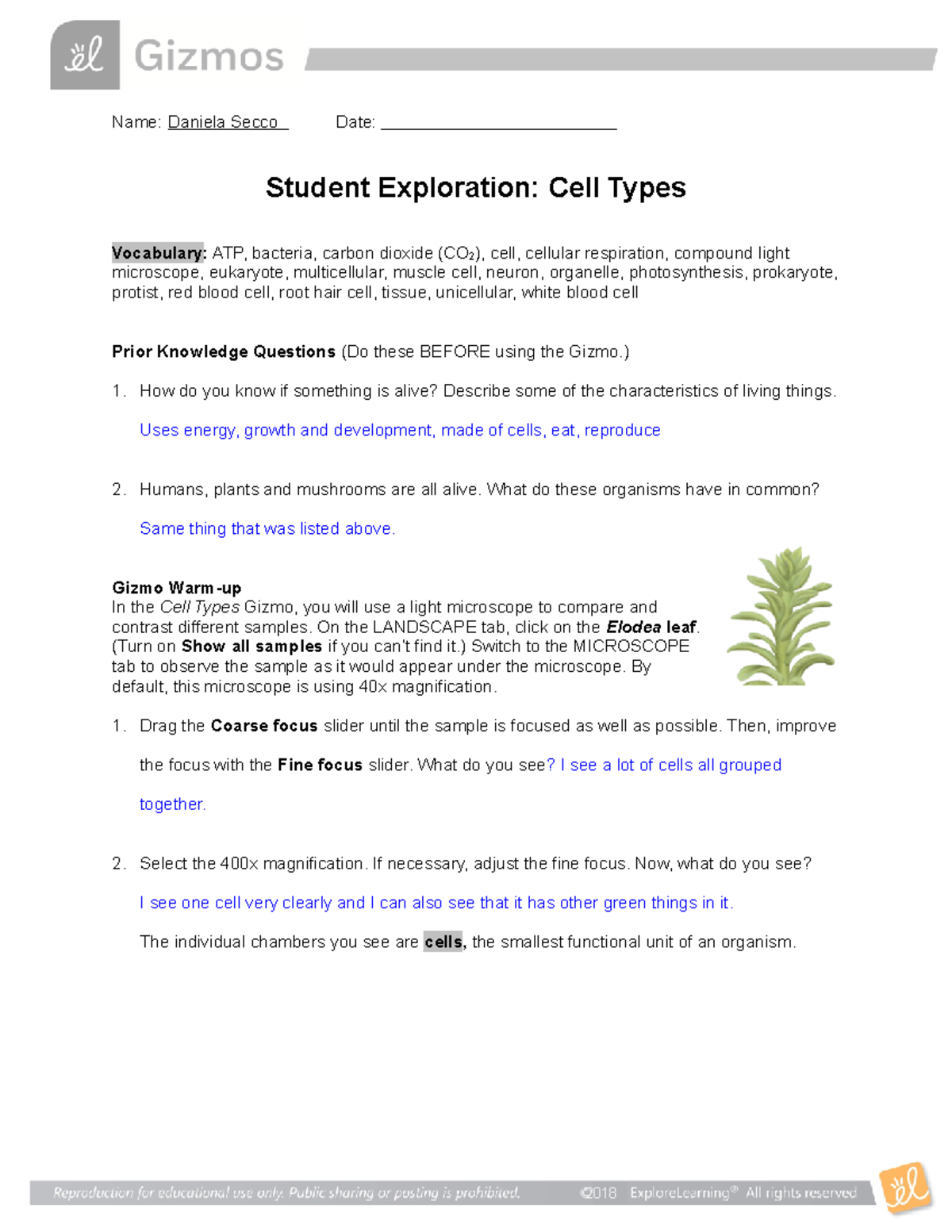 Cell Types SE Bio Name Daniela Secco Date Student Exploration