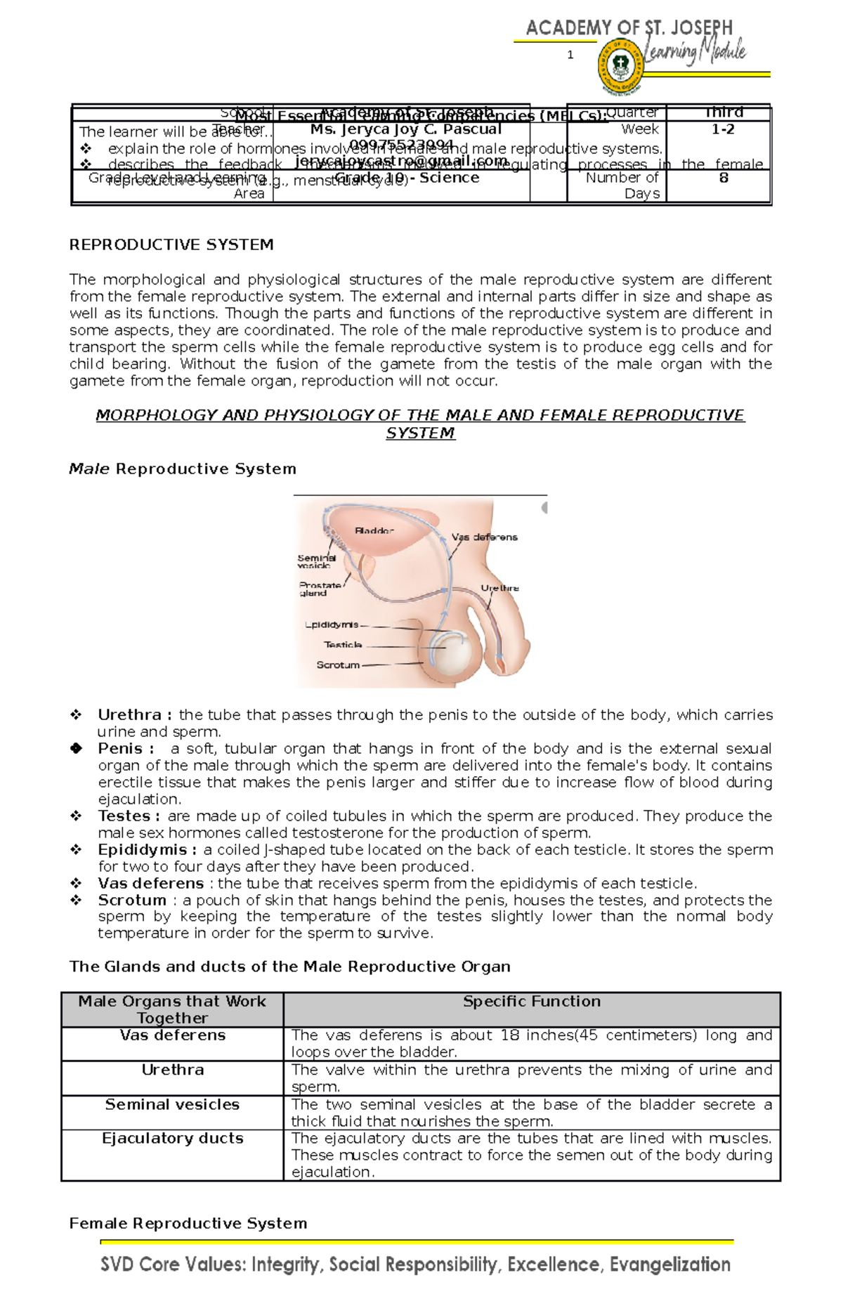 Science 10 Quarter 3 wk 1-2 - REPRODUCTIVE SYSTEM The morphological and ...
