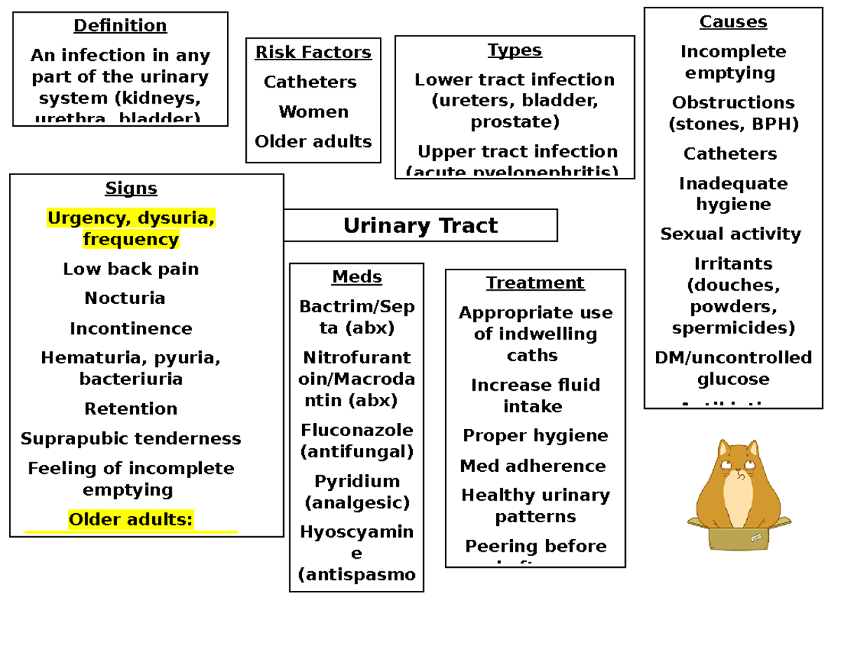 UTI concept map - definition, causes, signs, treatment - Treatment ...